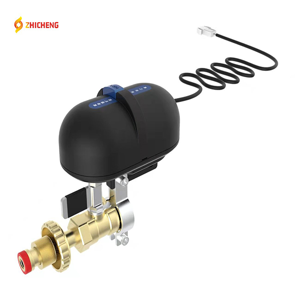 China Zigbee Smart Household Controller for Water Pipe/Gas Cylinder ...